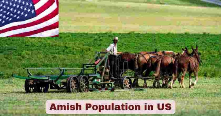 Amish Population in US 2025 | Statistics & Facts - The World Data