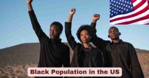 Black Population in the US 2026 | Demographics Statistics & Facts - The ...