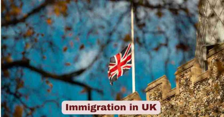 Immigration in UK 2025 | Statistics & Facts - The World Data