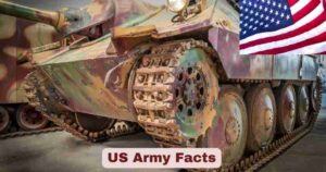 US Army Facts 2025 | Statistics on US Army - The World Data
