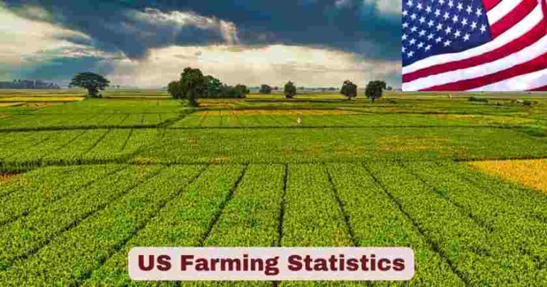 US Farming Statistics 2025 | Key Facts on US Farming - The World Data