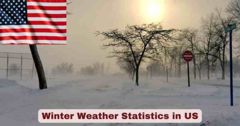 Winter Weather Statistics in US 2025 | Key Facts - The World Data