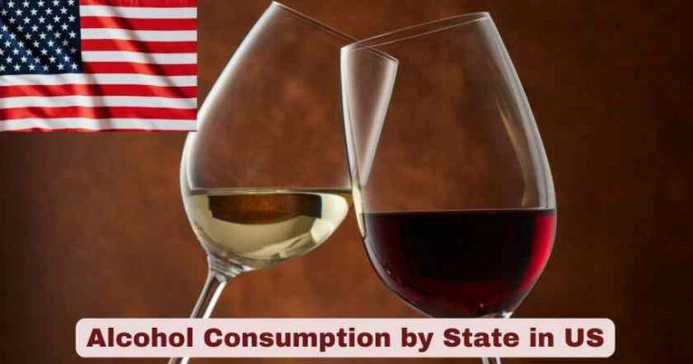 Alcohol Consumption by State in US 2026 | Key Facts - The World Data