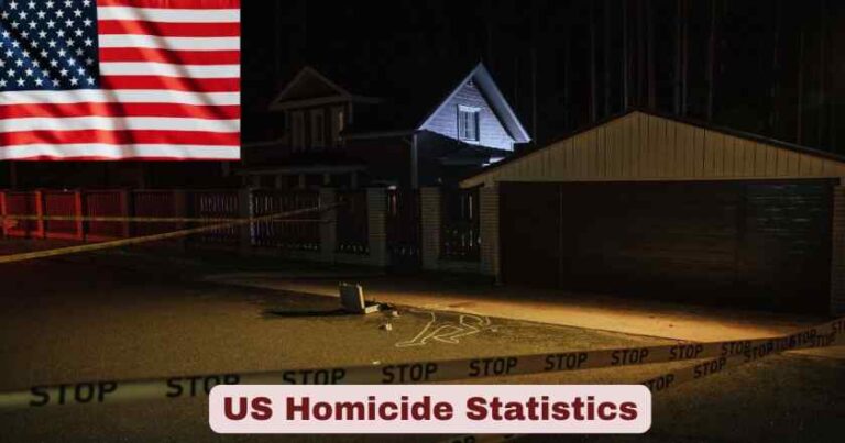 US Homicide Statistics in 2025 | Largest Drop in Homicides - The World Data