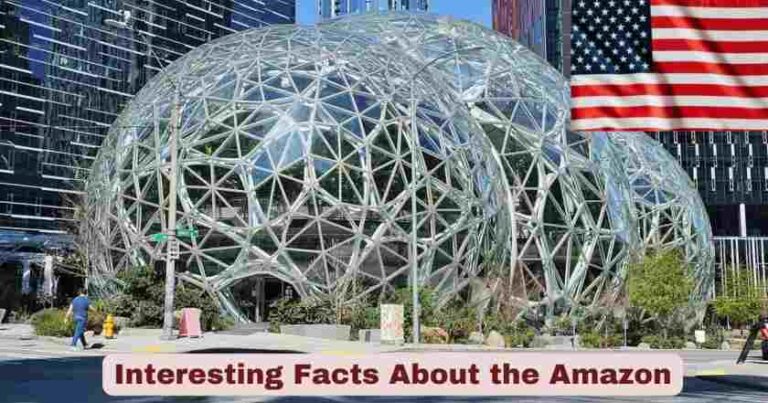 Interesting Facts About Amazon 2026 | Key Statistics - The World Data
